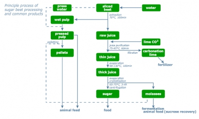 Sugar Beet Pulp Pellets - Feedimpex